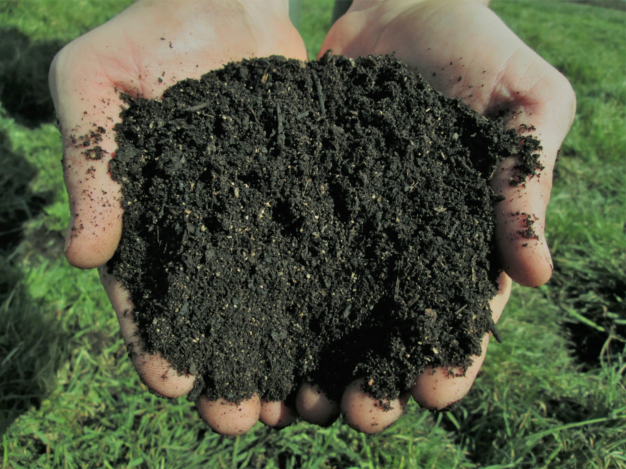 Veggie Mix Compost | Green and Gold Composting